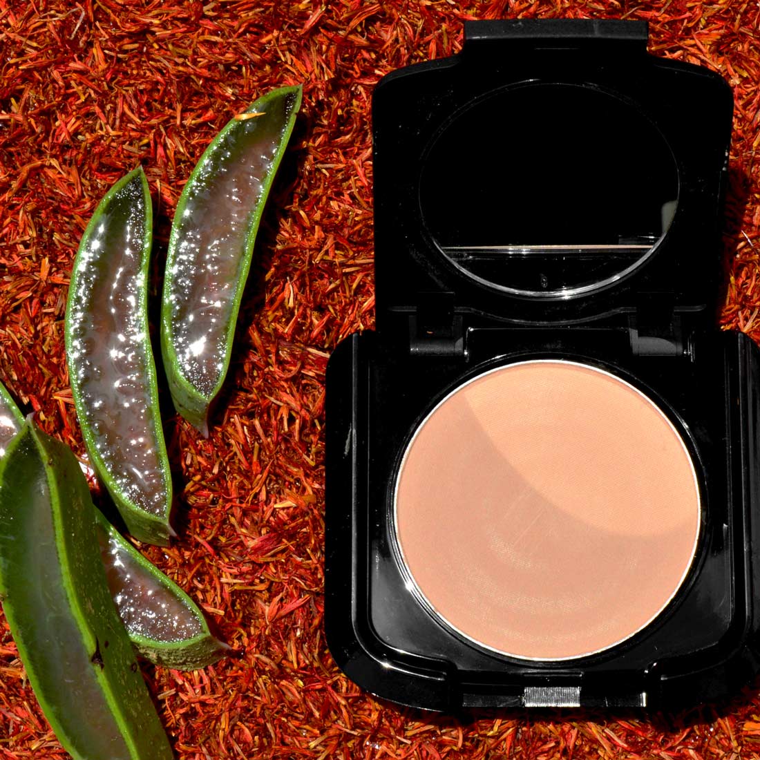 Wet & Dry Foundation | Vegan Powder Foundation | Palladio Beauty